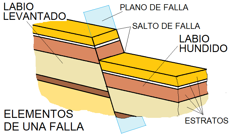 CURIOSIDADES CIENTÍFICAS : enero 2019