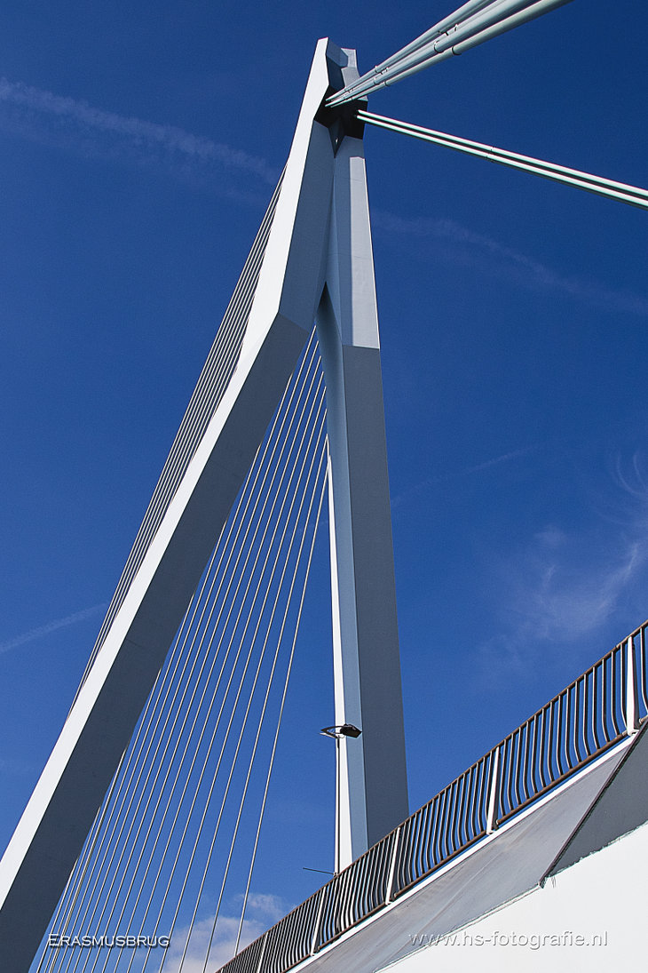 Erasmusbrug (Erasmus Bridge), Rotterdam, The Netherlands | ARCHITECTURE