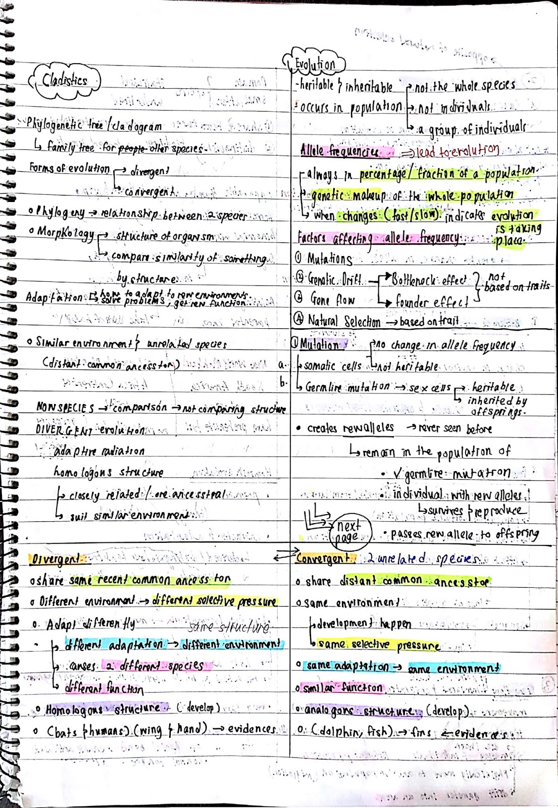 Biology Notes Semester 2 (MINE) for MUFY