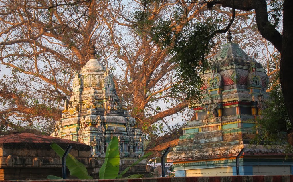 Tamilnadu Tourism: Kothandaramar Temple, Kadayam, Thirunelveli