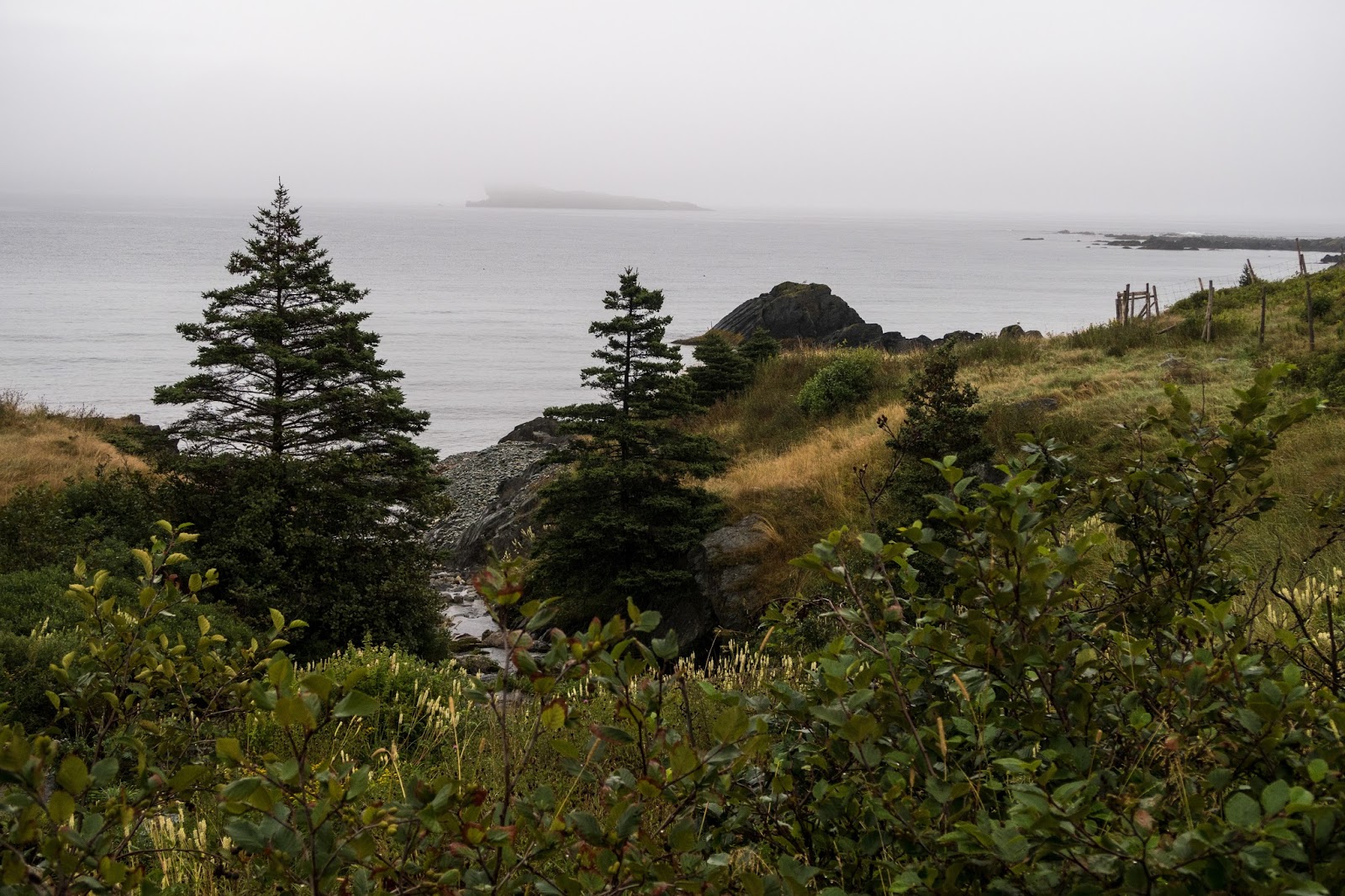 Eric's Hikes: East Coast Trail Day 2: Chance Pond River to South Cape ...