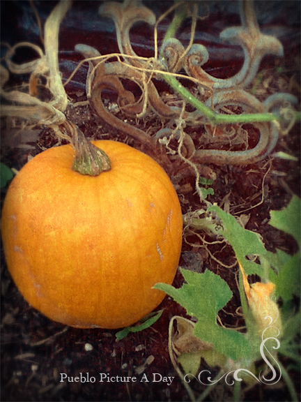 Pueblo Picture a Day: Hello September!