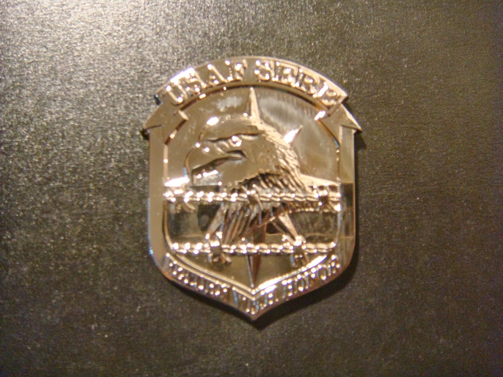 THE USAF RESCUE COLLECTION: USAF SERE Beret Flash