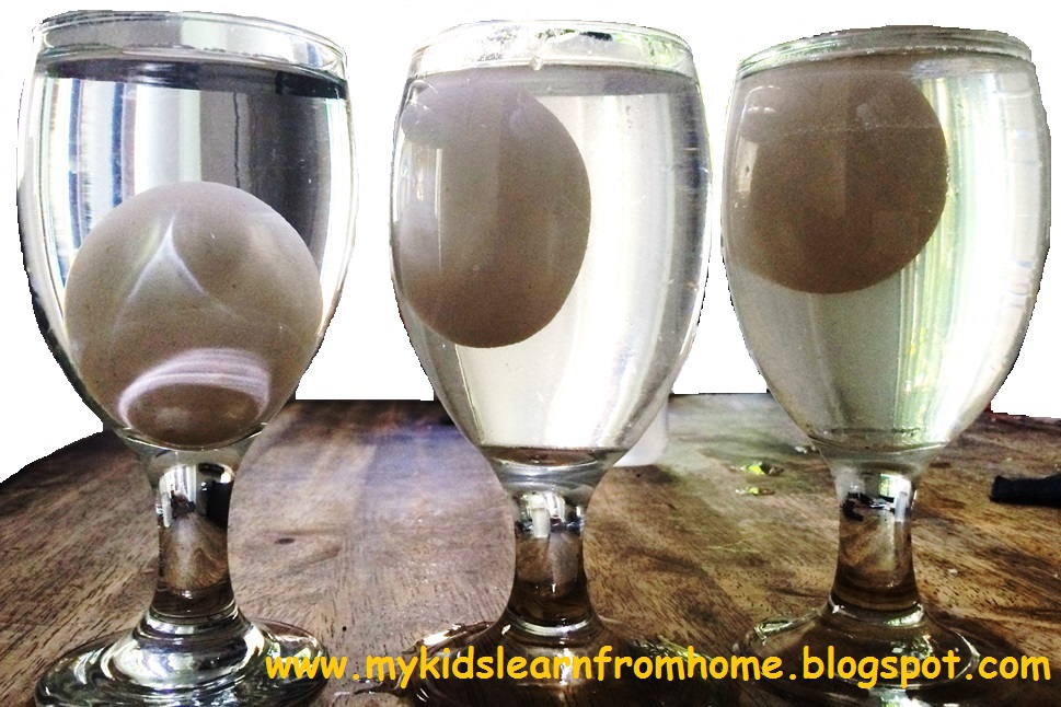 My Kids Learn from Home: The Floating Egg Experiment (Buoyancy)