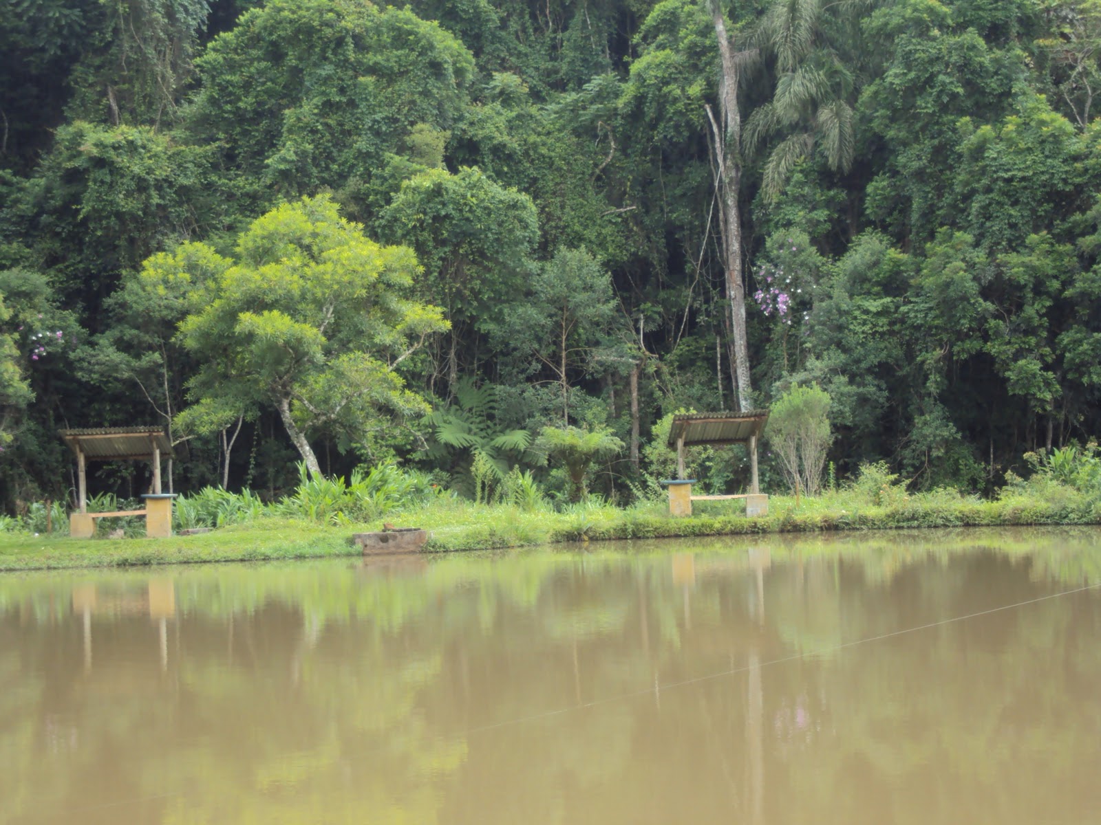 OS PESCADORES TS: pesqueiro triangulo - 03/12/2011