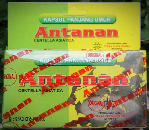 Ramuan Jamu dan Obat Tradisional Indonesia