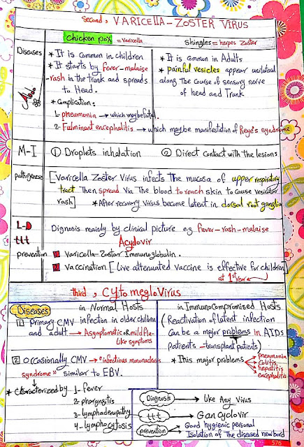 Virology Summary in 7 Pages