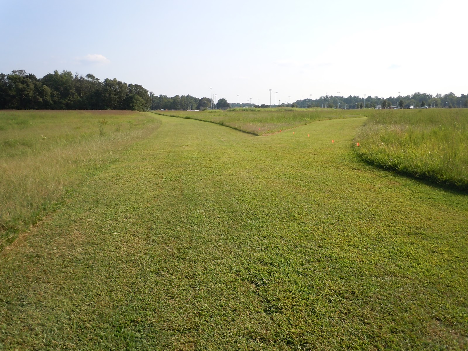 Ramblings by Steve Taylor...: Pole Green Cross Country Course ...