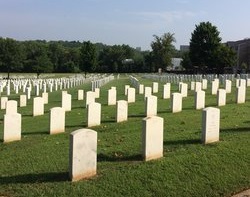 The Adventures of BillyMax: National Cemetery, Fayetteville