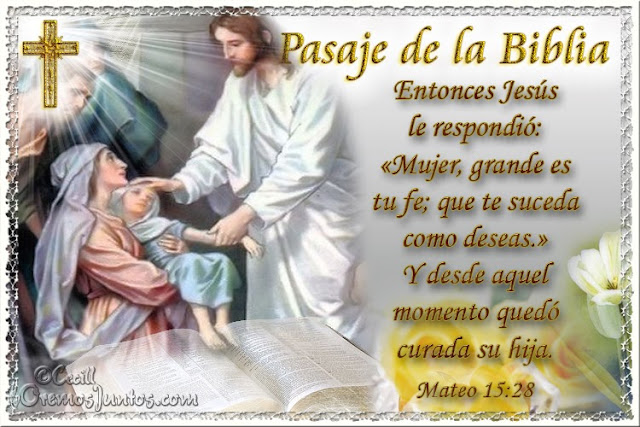Vidas Santas: Santo Evangelio según san Mateo 15:28