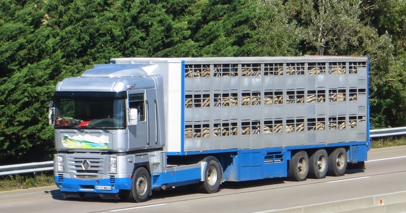 INFO-CAMIONS: transports Roche