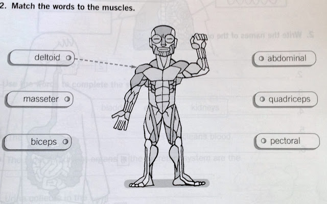 miss-alina-s-class-3rd-grade-science-review-exercises-october-10th