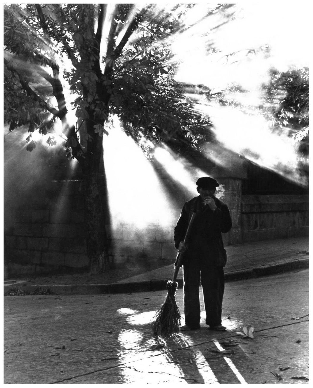 MSU ART 359 Class Blog: Barry Goldwater | by Amanda Smith