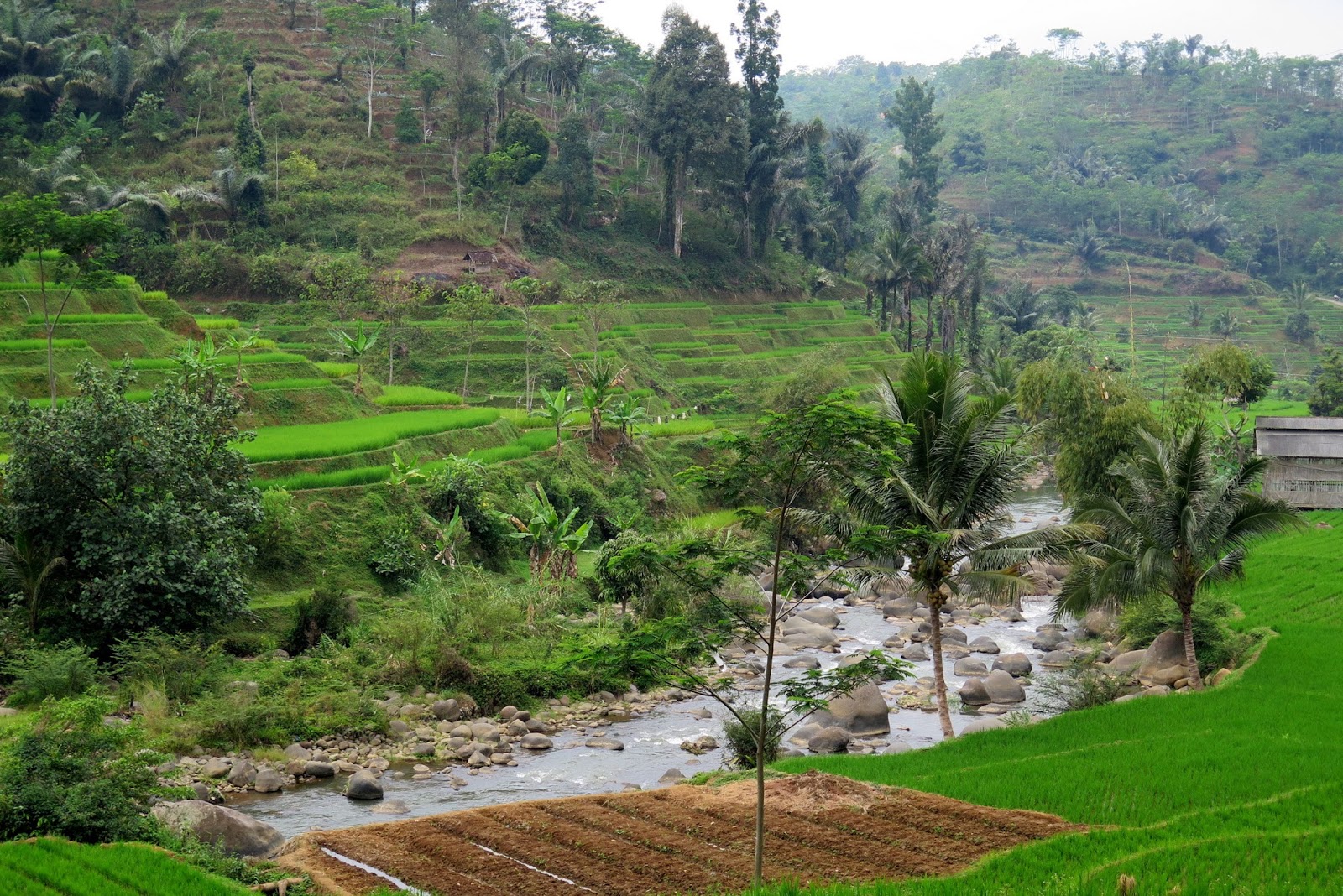 It's what i do: Java - Bali Adventure Ride Part 2