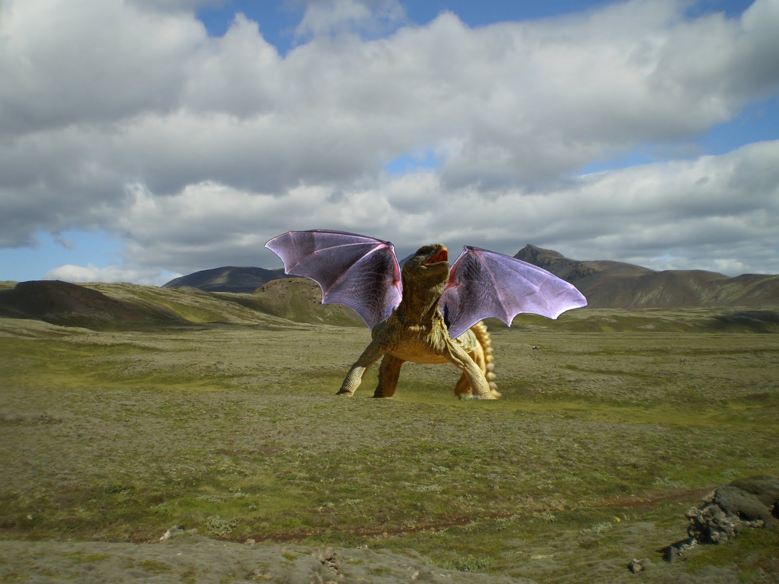 Emmas Kunstblogg: En "ekte" drage