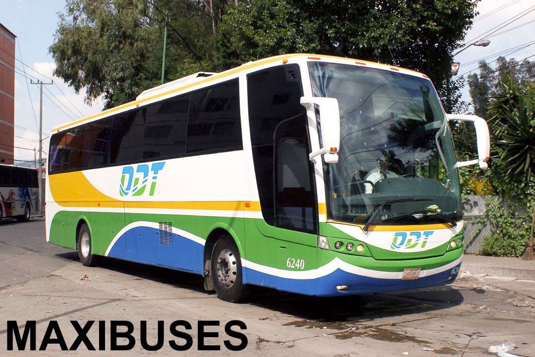 MAXIBUSES: OMNIBUS DE TIZAYUCA - ODT