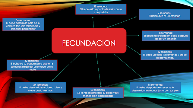 Fisiología Medica : Fecundacion.La fecundación, también llamada ...