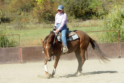 Reining Training Tips ~ ~: Spin Fix #11: Correcting 'Jumping' into the Spin