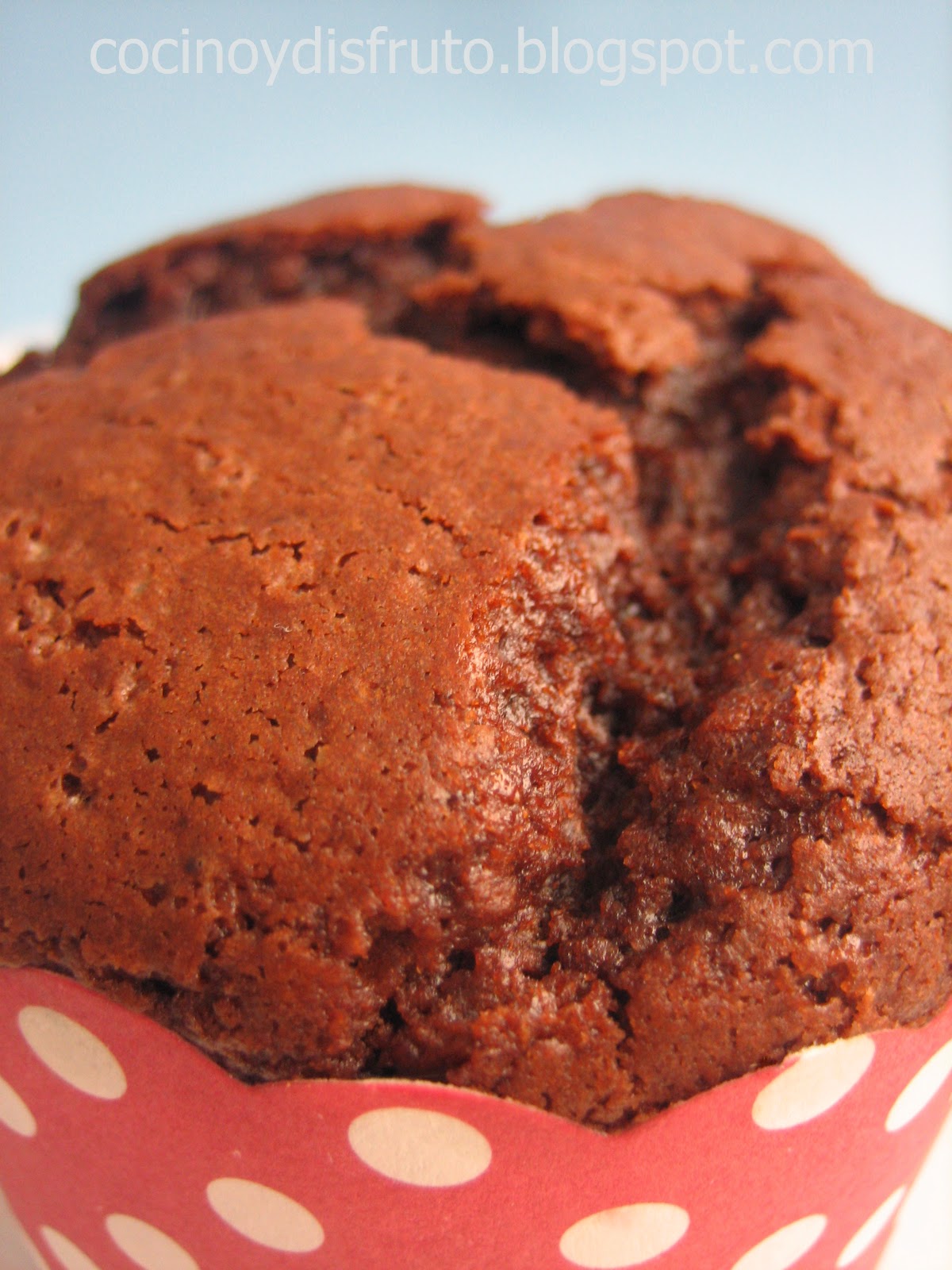 cocino y disfruto: junio 2014