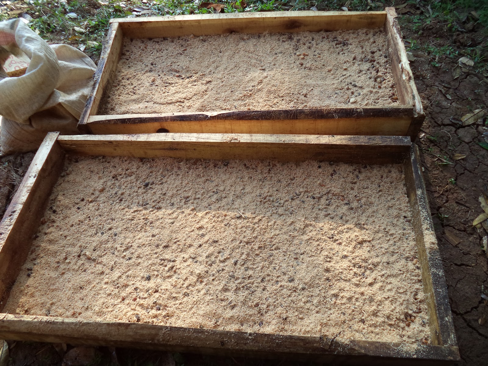 Juni 2017 ~ IIS YUNINGSIH