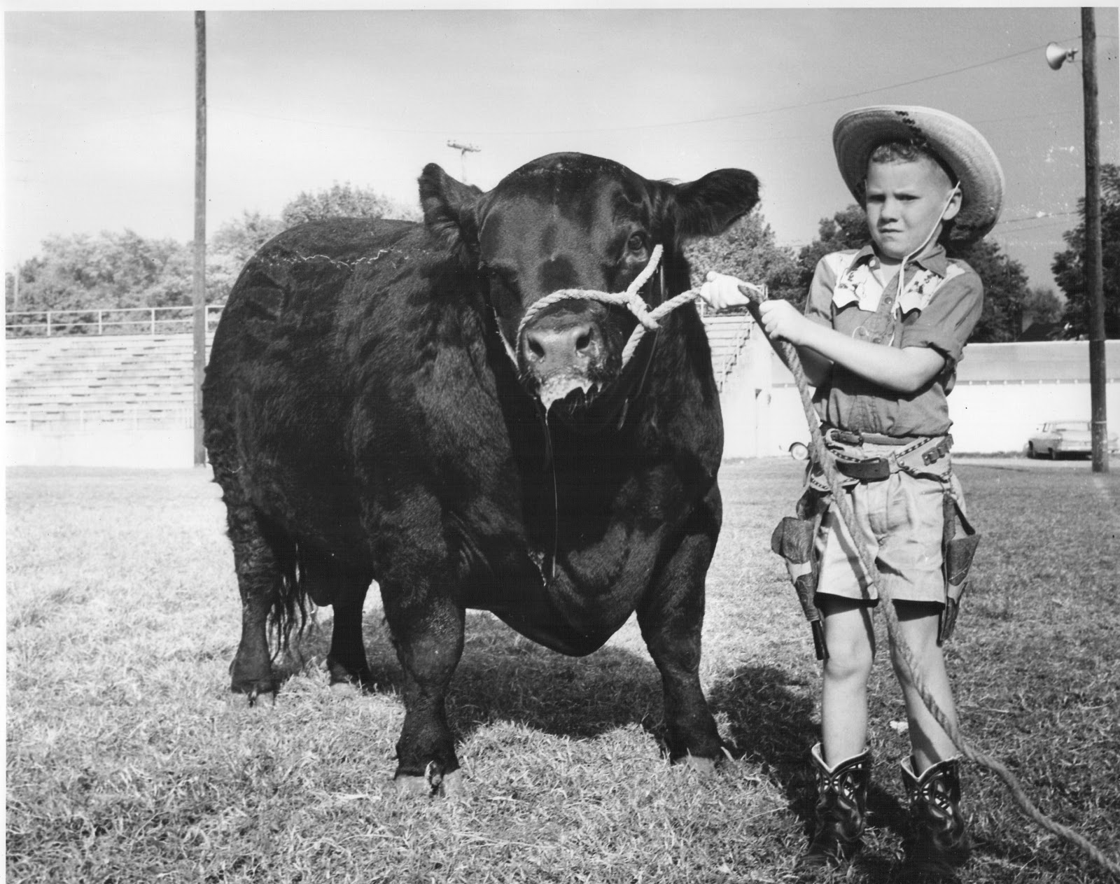 Marsha's Creekside Creations: Antique Farm House and the Prize-Winning ...