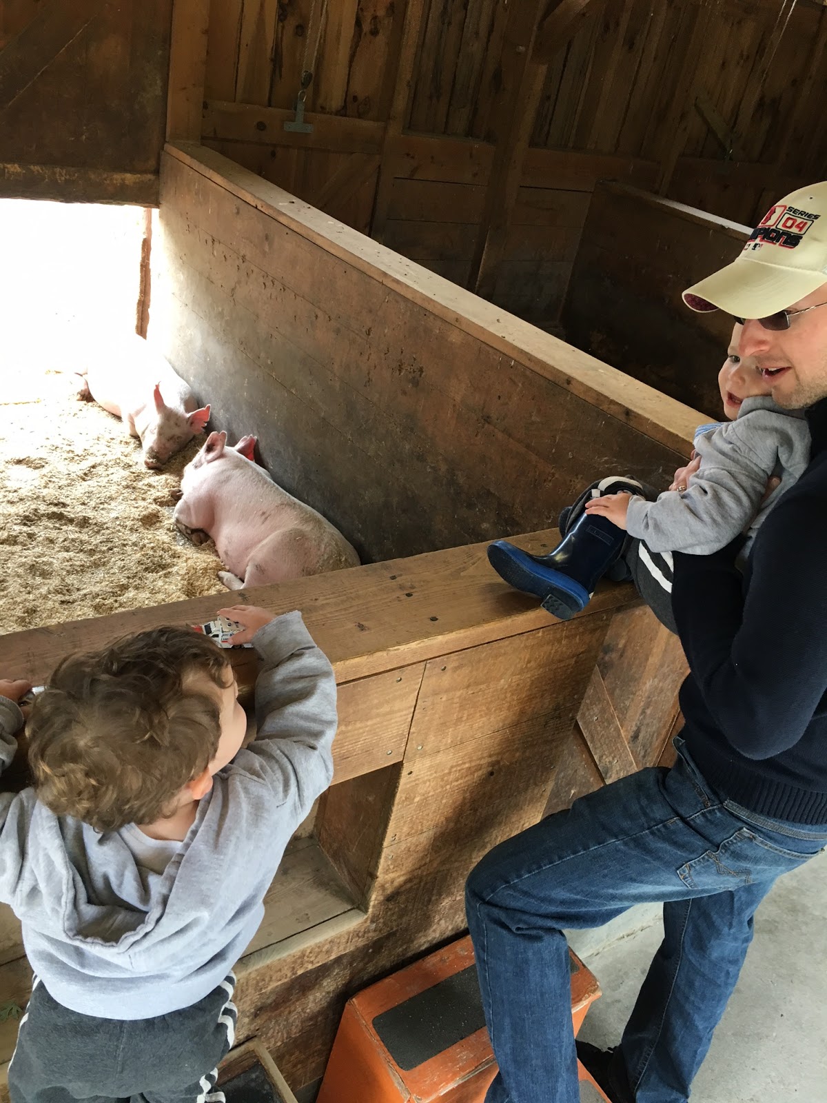 Drumlin Farm - Lincoln, MA