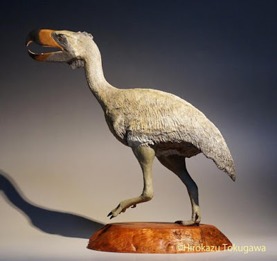 Hirokazu Tokugawa's Paleo Sculpture: Paraphysornis (terror bird) (2015)