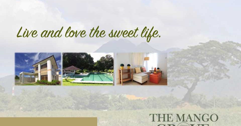 The Mango Grove: THE MANGO GROVE