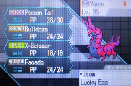 Pokemon Scolipede Evolution