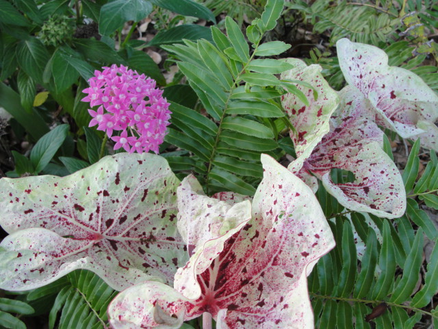 Simply Susan: So Long April...