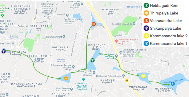 Biome Trust: Hebbagodi Lake Report