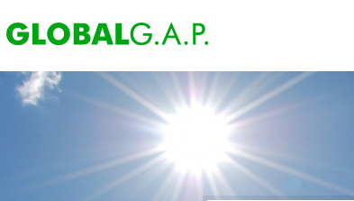 Kabondo Sweet Potatos Blog: Get to know the GLOBALG.A.P(EUREPGAP ...