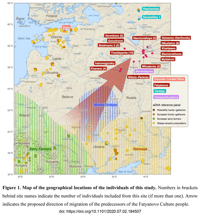 Eurogenes Blog: Fatyanovo males were rich in Y-haplogroup R1a-Z93 (Saag ...