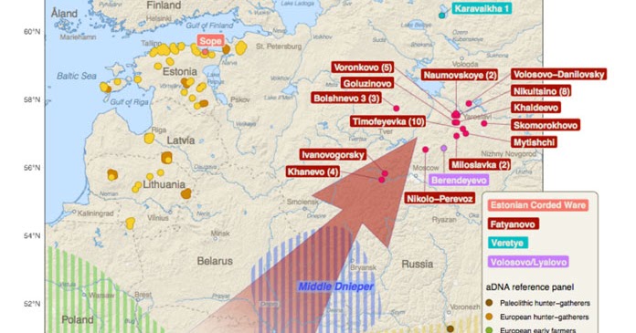 Eurogenes Blog: Fatyanovo males were rich in Y-haplogroup R1a-Z93 (Saag ...