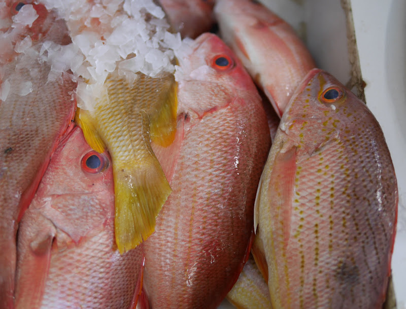 Relaxing in Puerto Escondido - Backwoods Mama