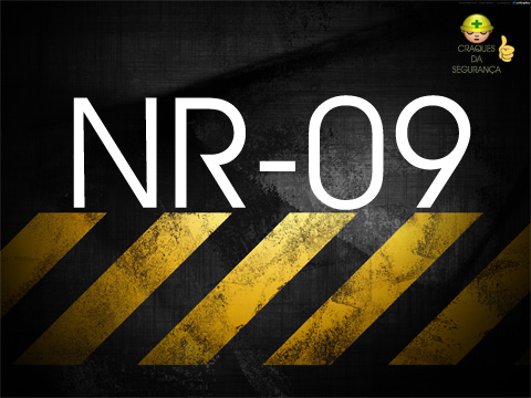 Blogguer de Segurança do trabalho: NR 9 – Programa de Prevenção de ...