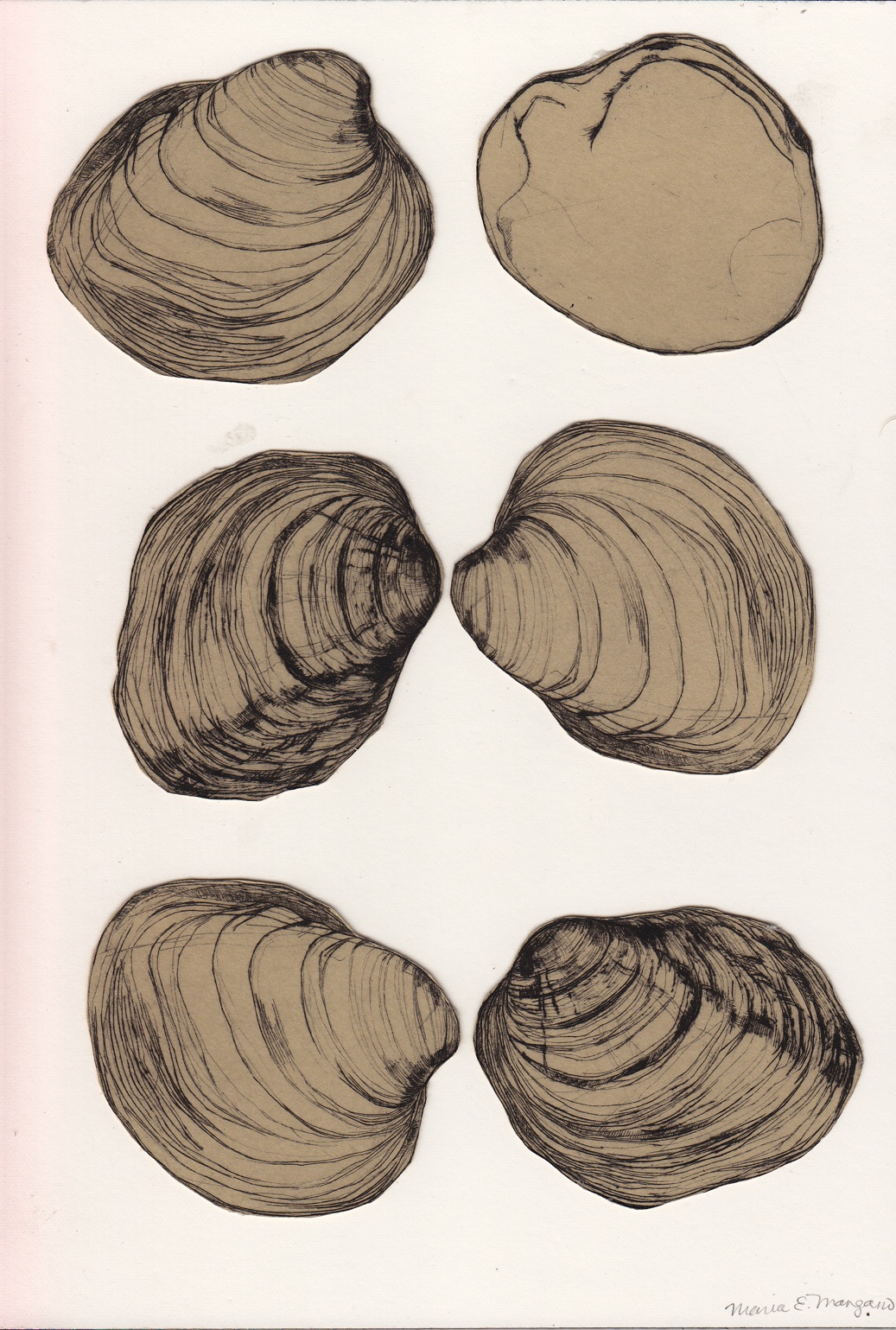 the birds and the bugs: 2011