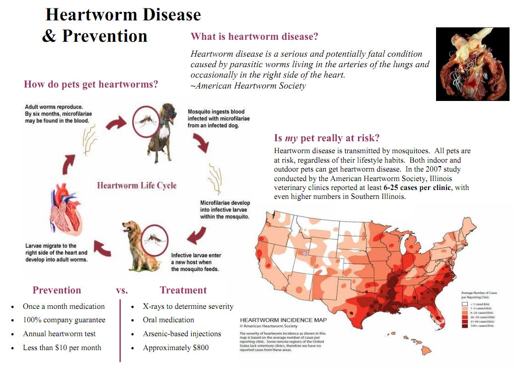 Donations For Heartworm Treatments