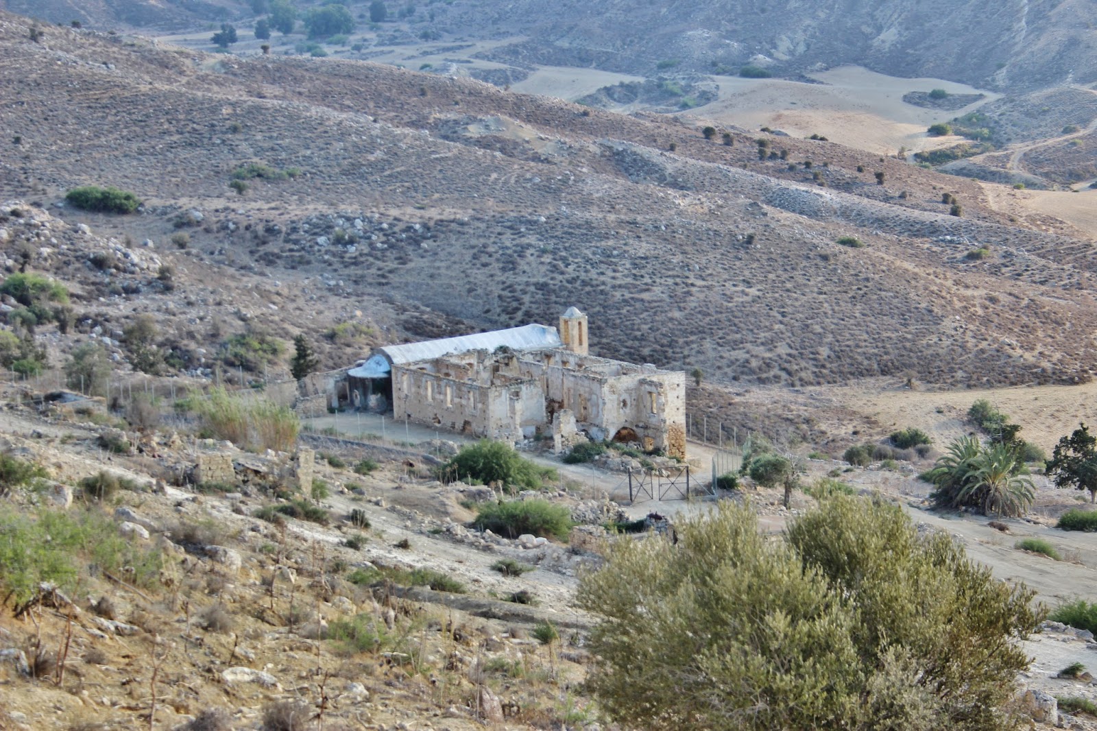 Biodiversity of Cyprus by NGO Protection of the Natural Heritage and ...