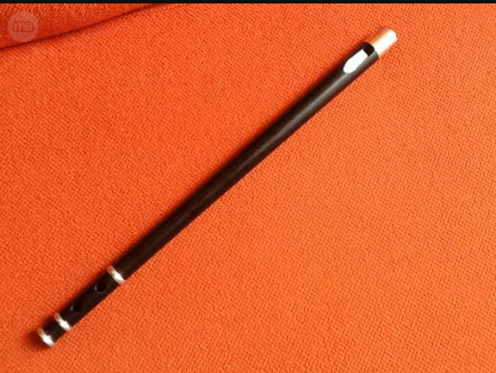 Historia De La Gaita Rociera