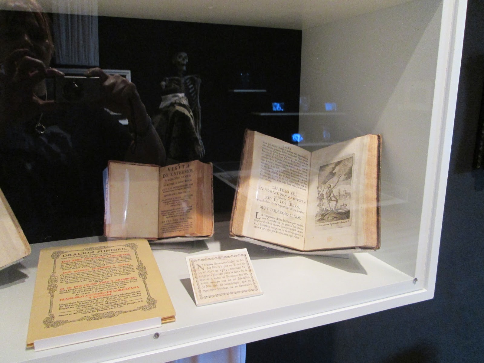 Jake, the Roving Librarian