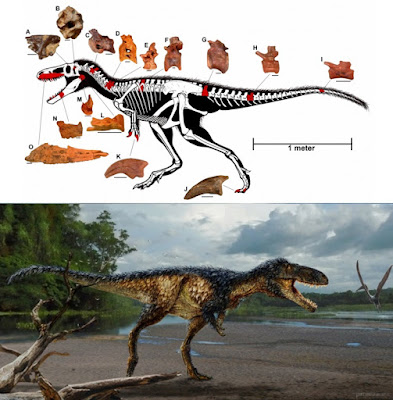 Species New to Science: [Paleontology • 2016] Timurlengia euotica • New ...