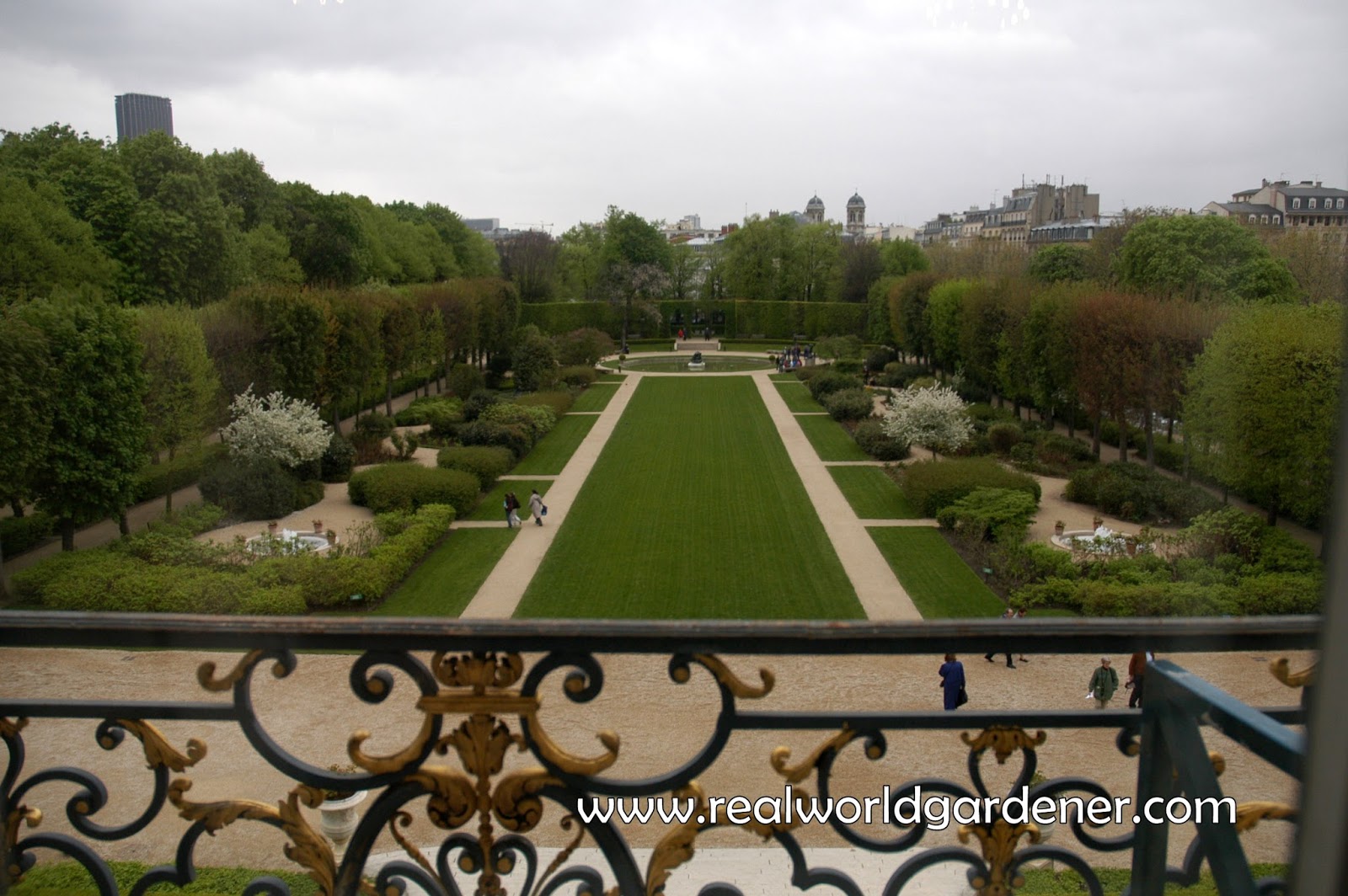 Real World Gardener: From Paris Gardens to Sydney Rock Orchids