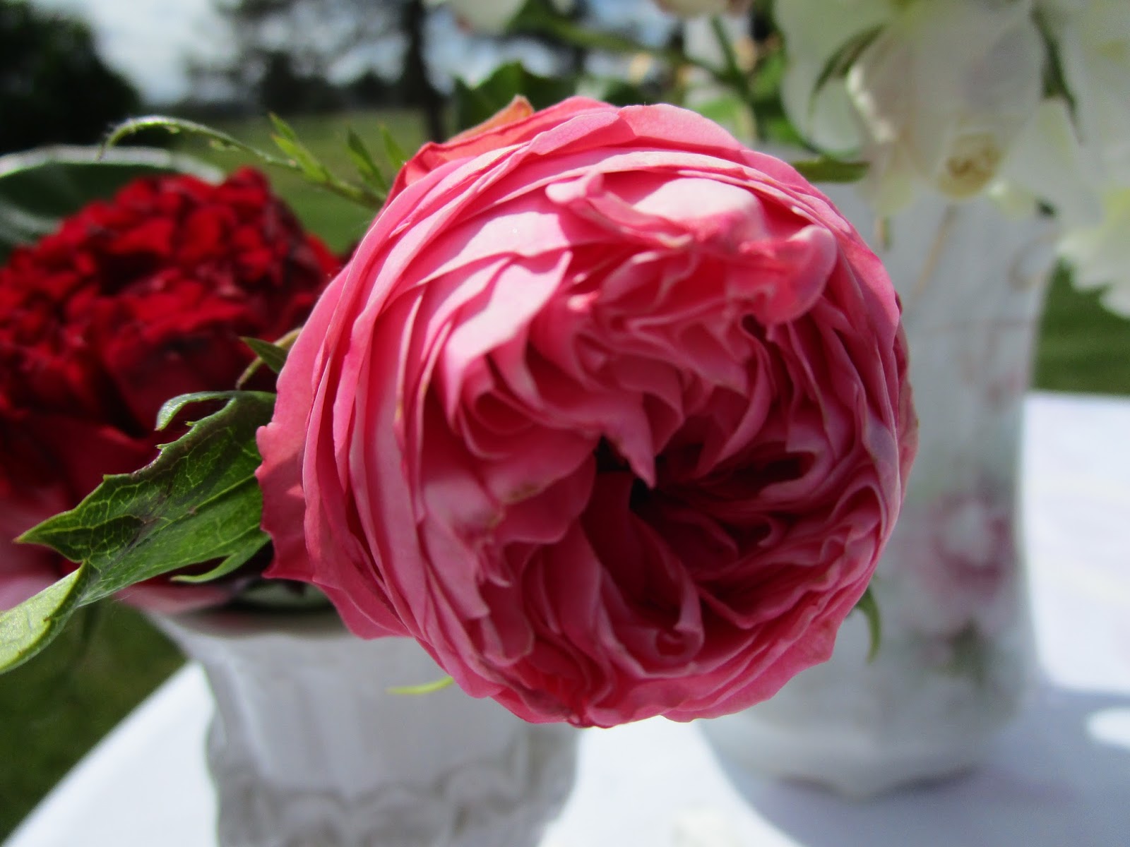 Karen's Cottage and Castle: Roses and Ivy for Tea Time