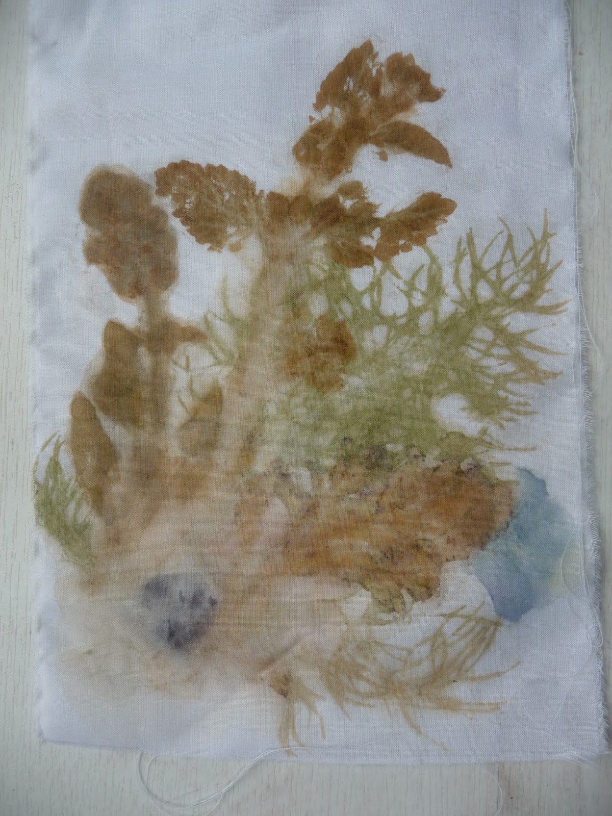 Wool - Tribulations of Hand Spinning and Herbal Dyeing: Making Plant ...