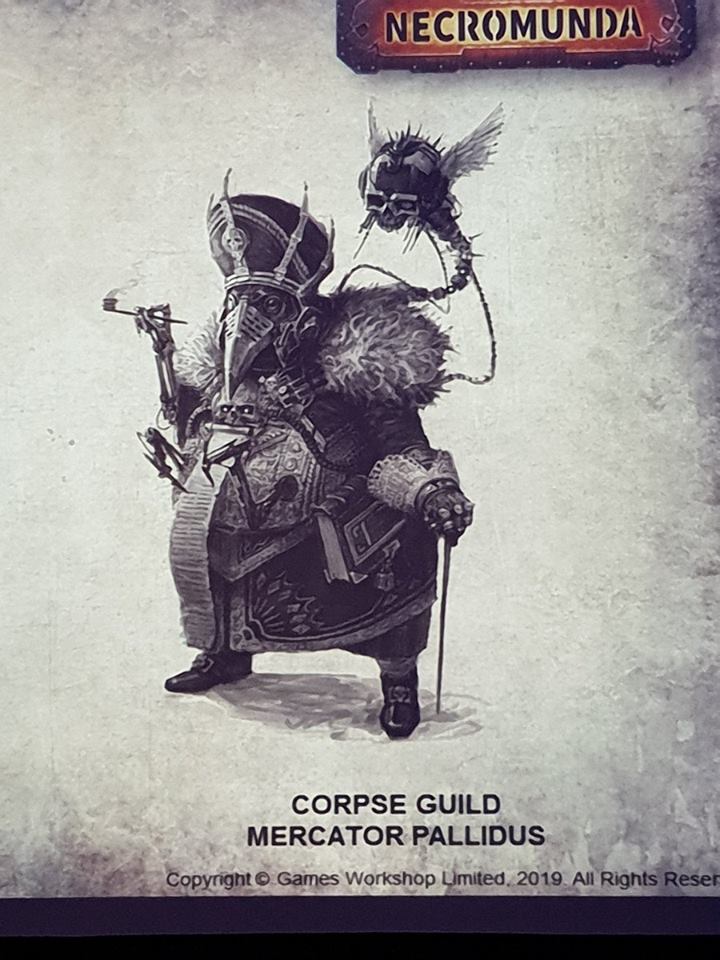 Castigator's Chaos: The Future of Necromunda - Specialist Games ...