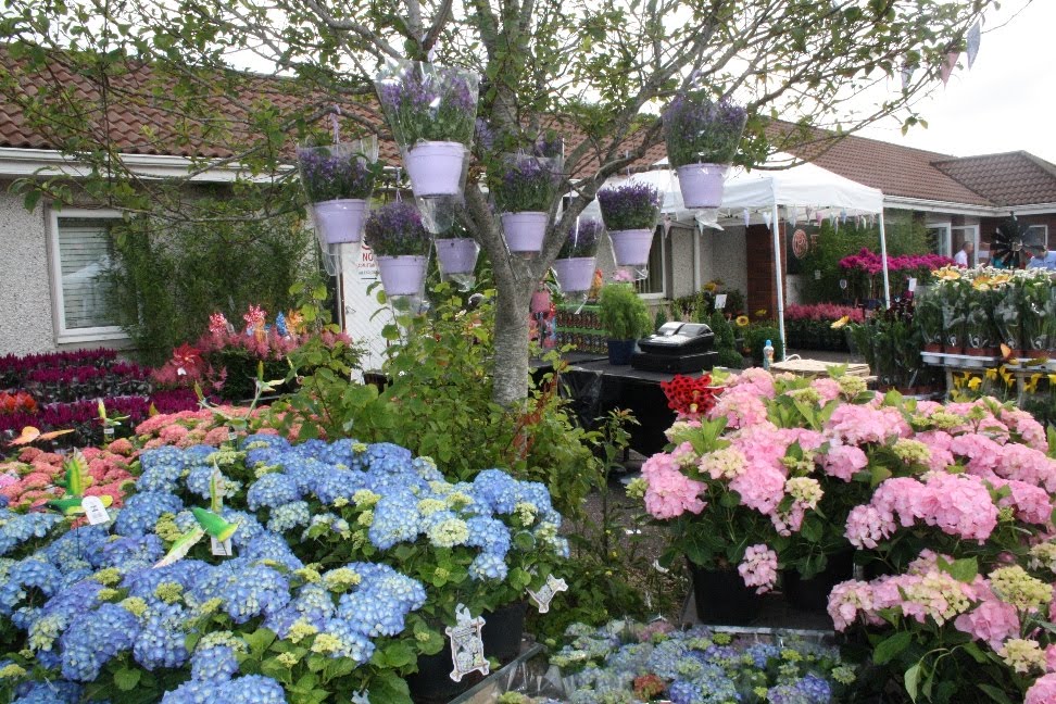 Mallow Show Gardens 2011