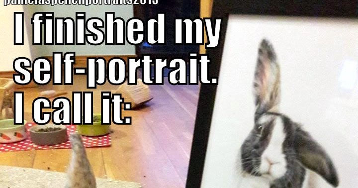 Rabbit Ramblings: Funny Bunny Monday Meme*day