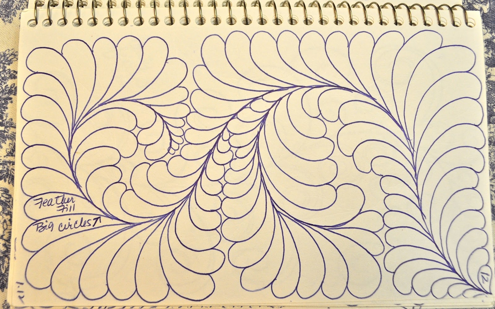 LuAnn Kessi: Sketch Book......Feathers Filling Space