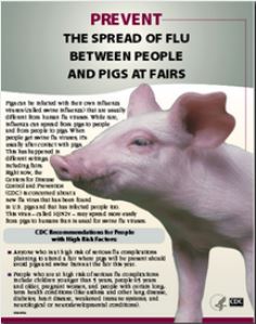 Avian Flu Diary: Michigan: Two More Fairs Report Swine Influenza In Pigs